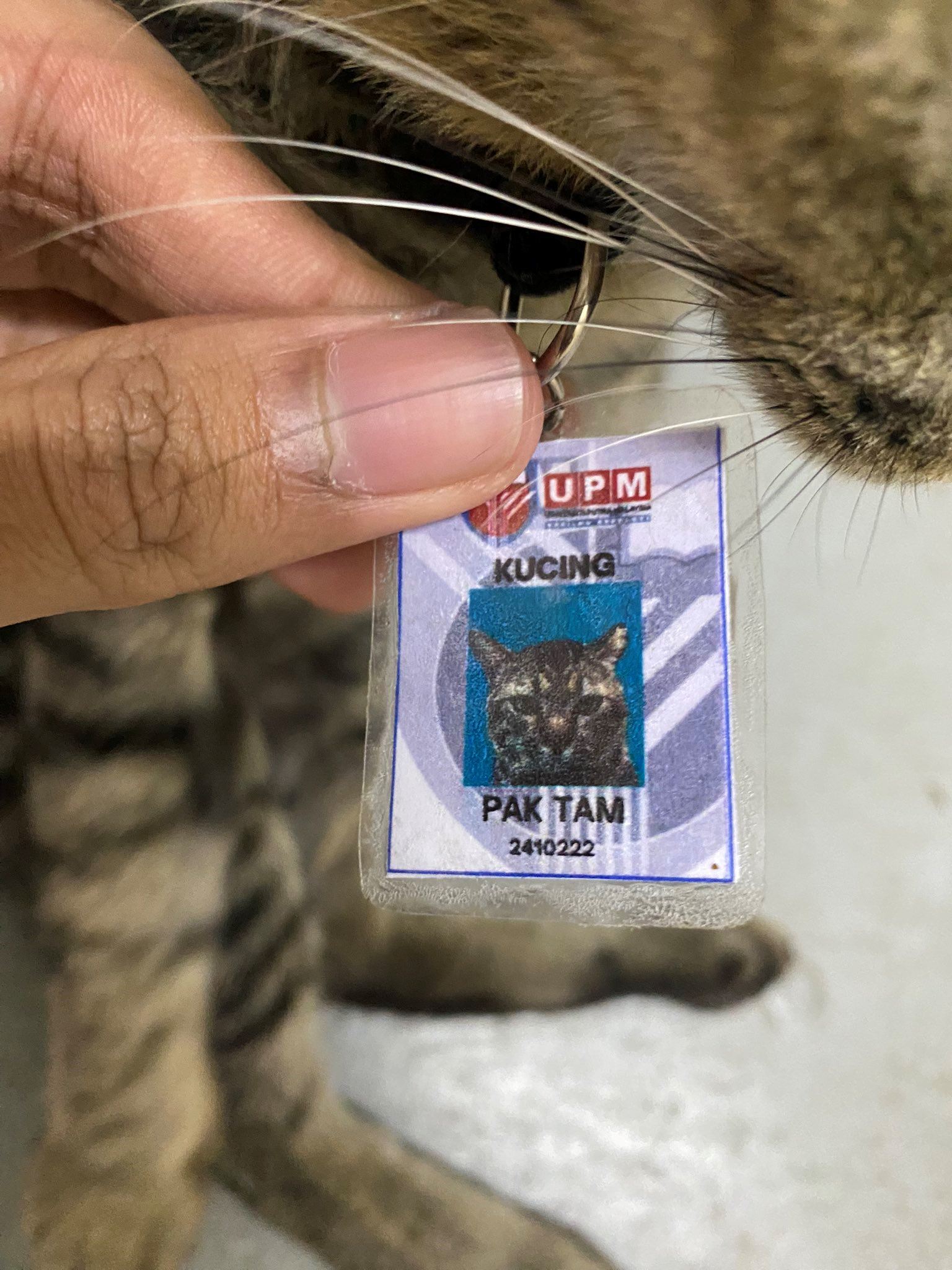 Kucing Dr Falsafah Di UPM Viral Pakai Kad Matrik Sama Seperti Pelajar ...